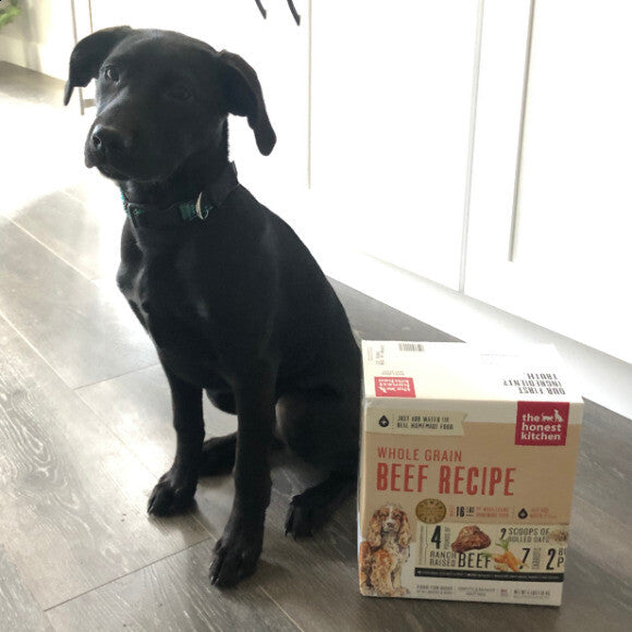 Millie – The Honest Kitchen