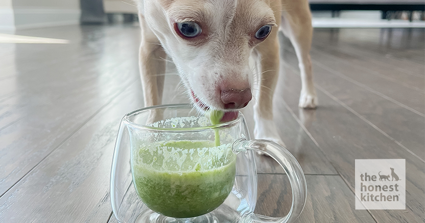 Green Smoothie for Dogs – The Honest Kitchen