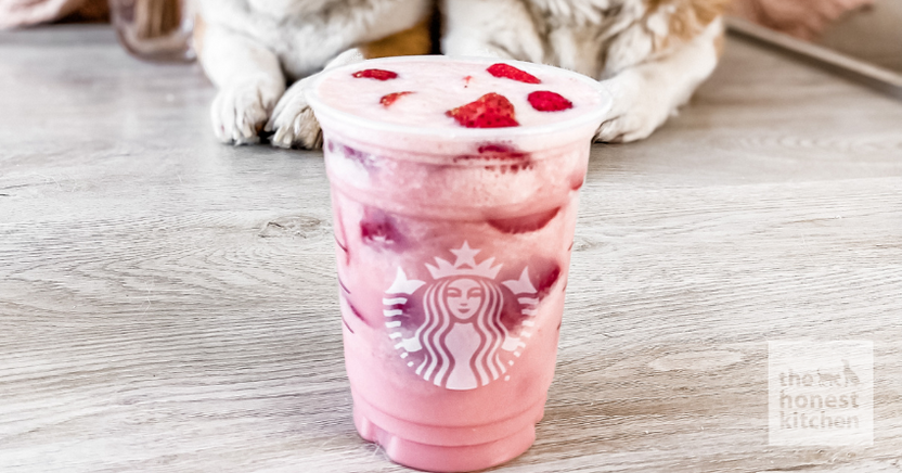 Pink Drink Recipe For Dogs – The Honest Kitchen