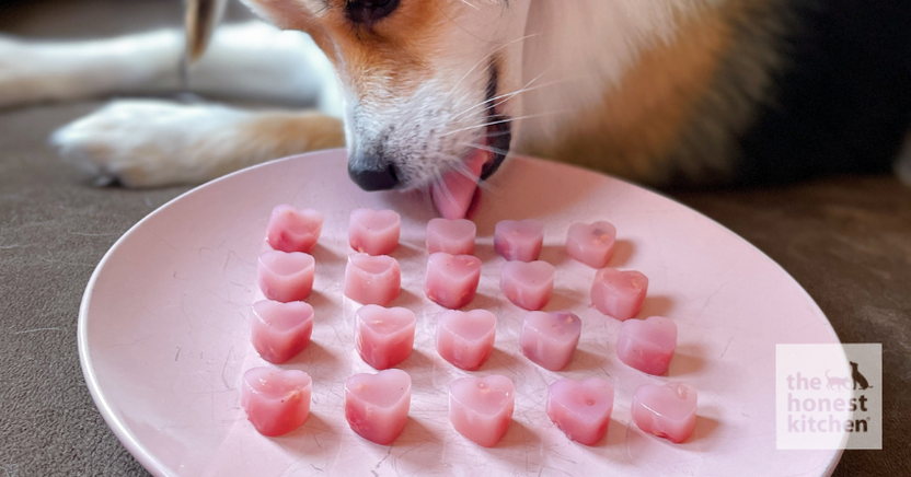 Raspberry Gummies Recipe for Dogs – The Honest Kitchen