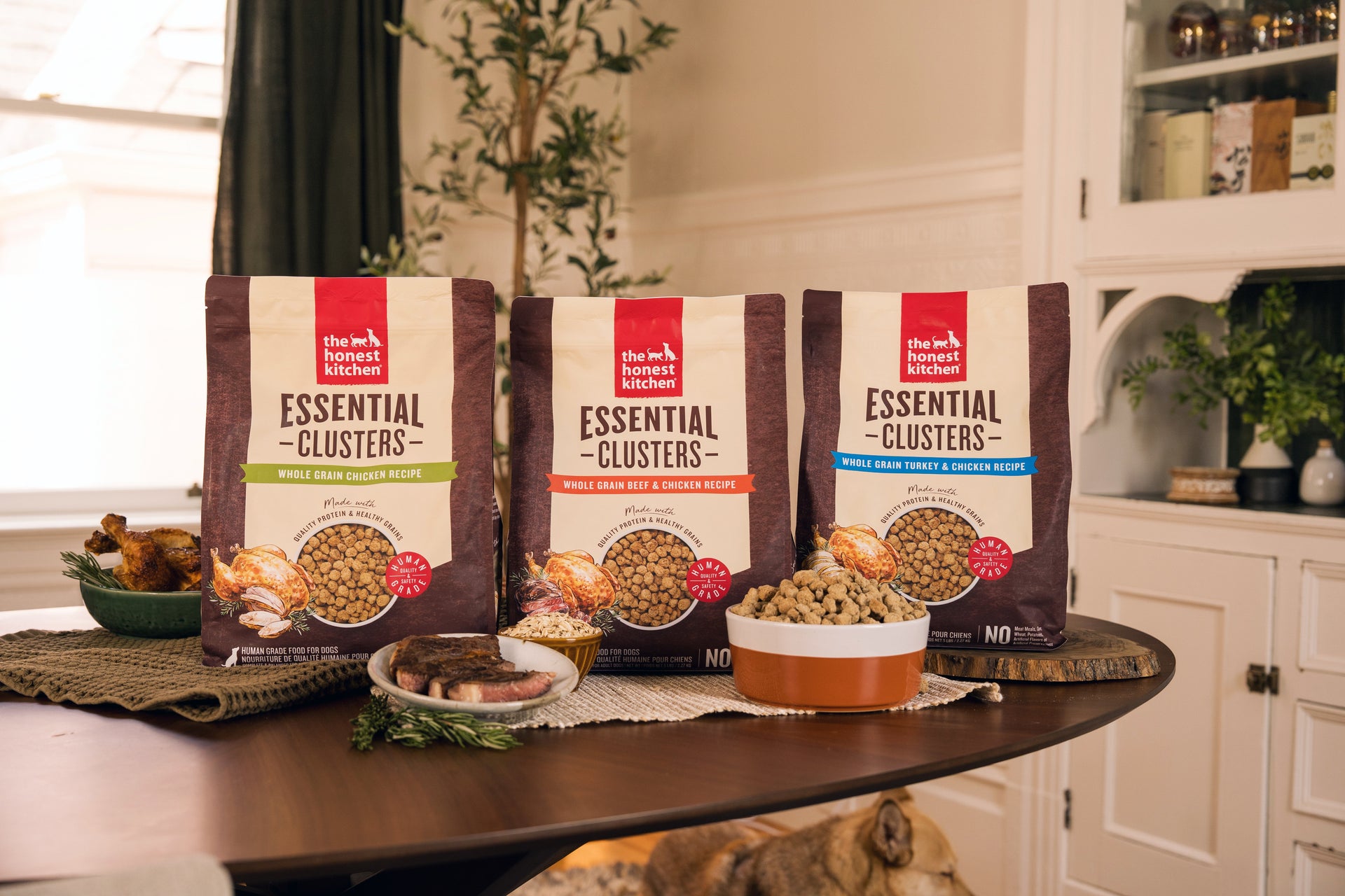 The Most Affordable Way to Upgrade to Human Grade: The Honest Kitchen