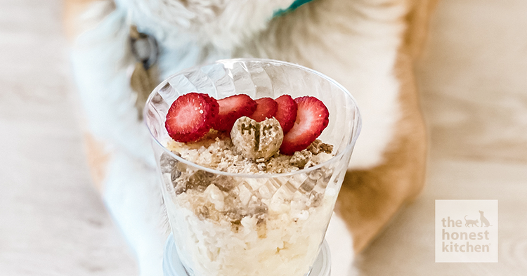 Rice Pudding for Dogs – The Honest Kitchen