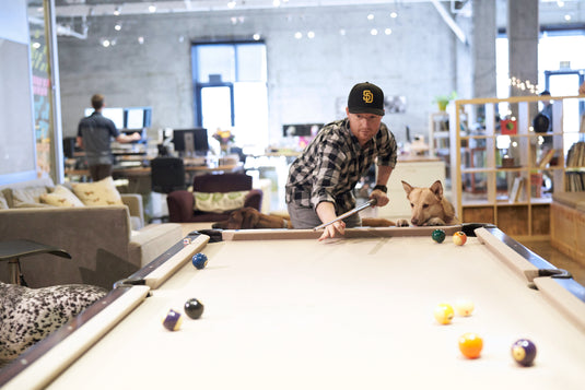 The Honest Difference – The Honest Kitchen