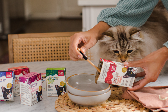 Human Grade Cat Food – The Honest Kitchen
