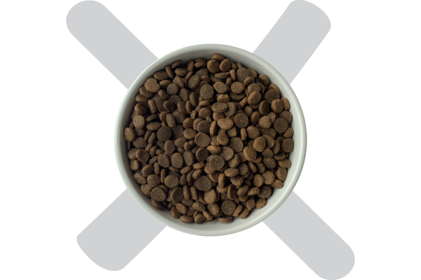 Try Whole Food Clusters – The Honest Kitchen