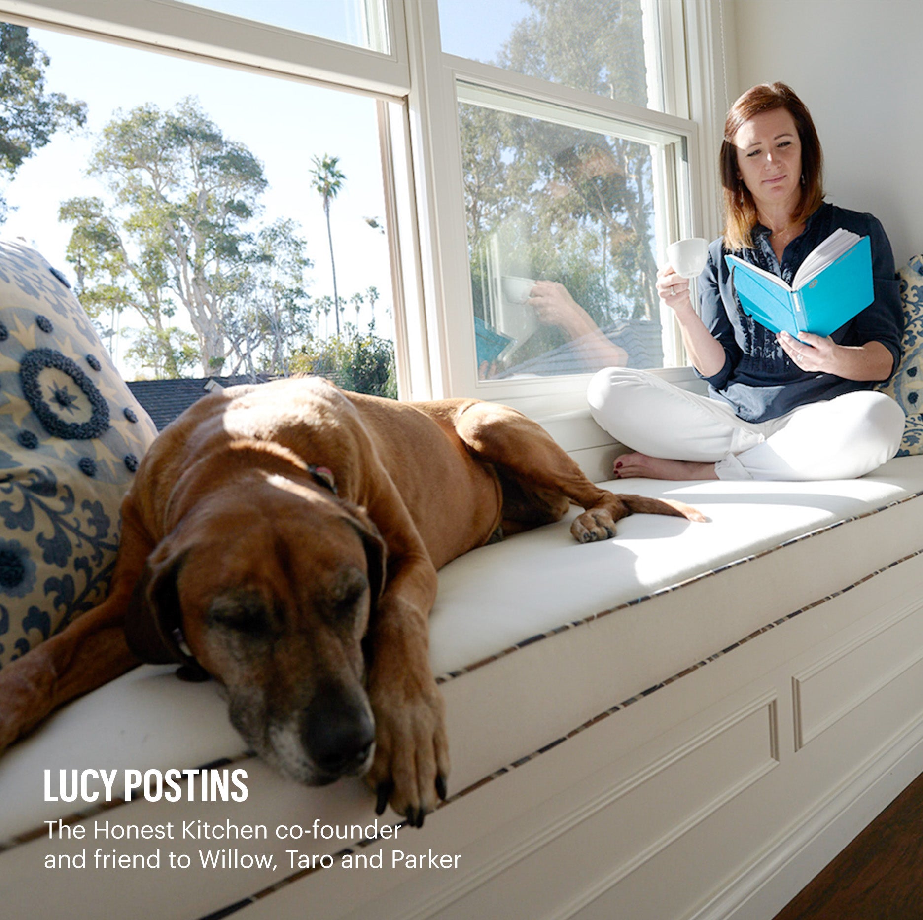 Inside The honest Kitchen – The Honest Kitchen