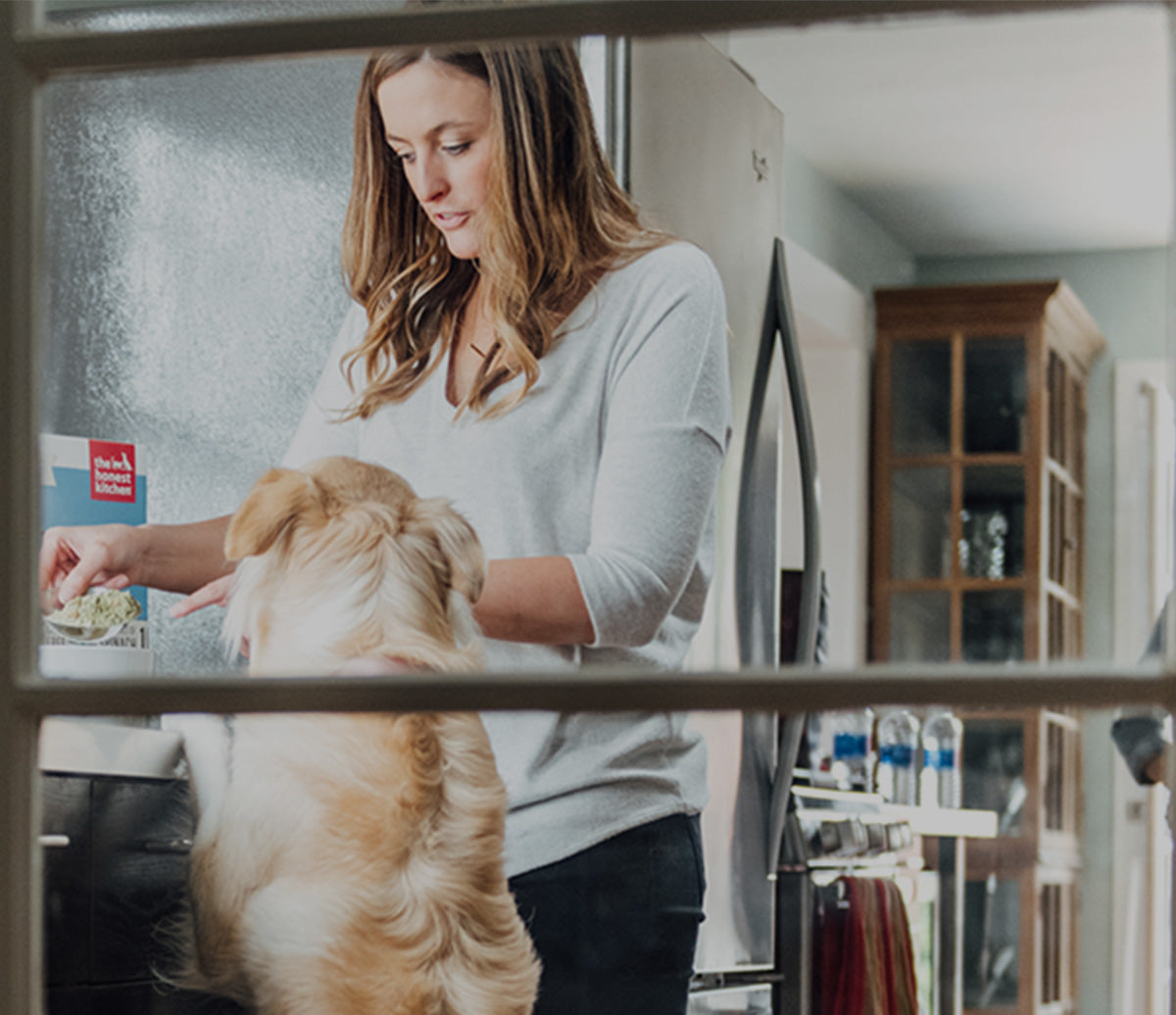 Inside The honest Kitchen – The Honest Kitchen