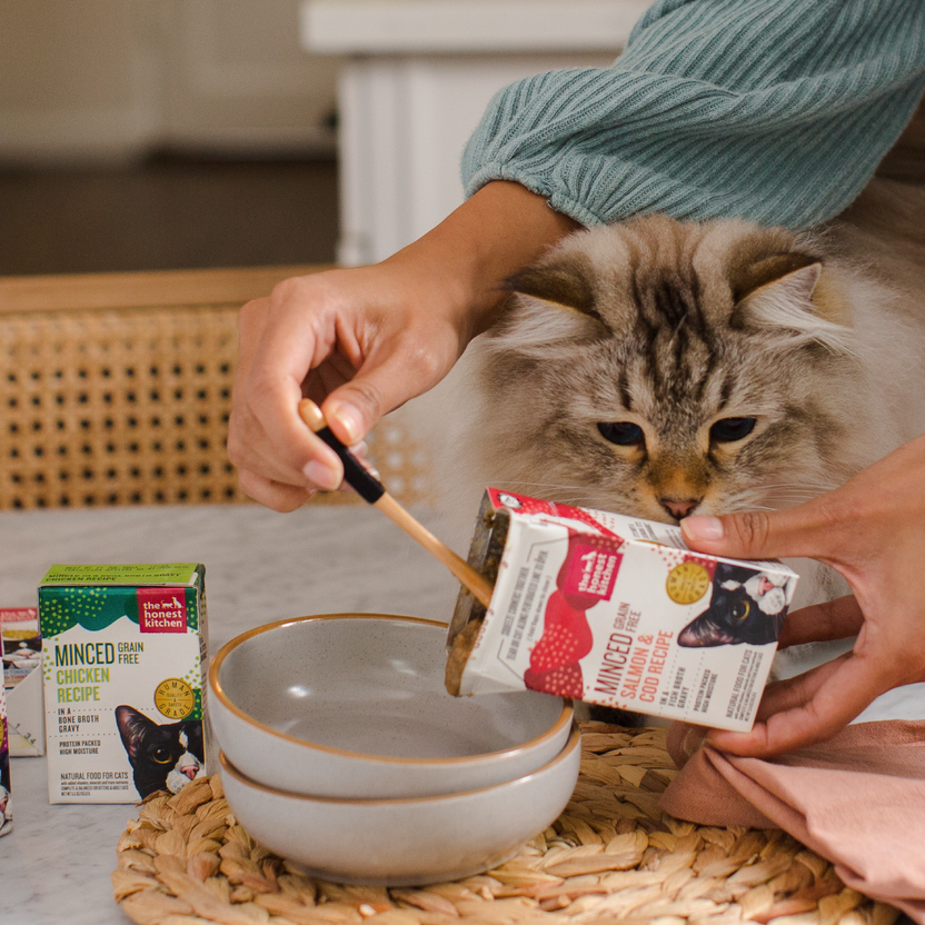 Grain Free Câté™ (Pâté) Variety Pack - 2.8 oz x8 – The Honest Kitchen