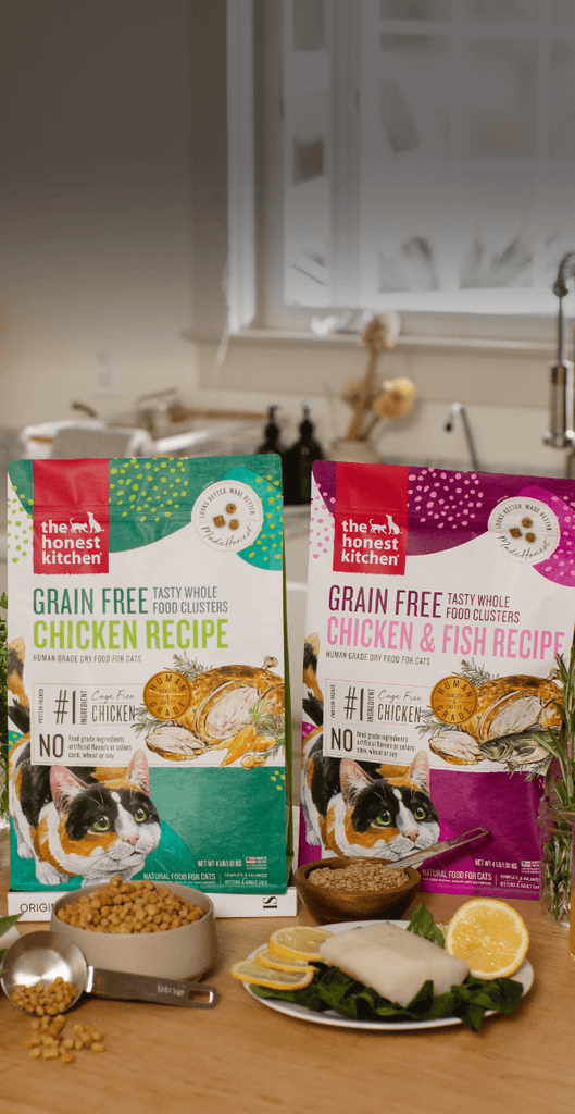 Shop Dry Cat Food Clusters | The Honest Kitchen