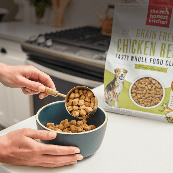 Shop Whole Grain Dry Dog Food Clusters | The Honest Kitchen