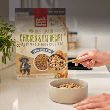 Shop Dry Dog Food Clusters – Small Breed | The Honest Kitchen