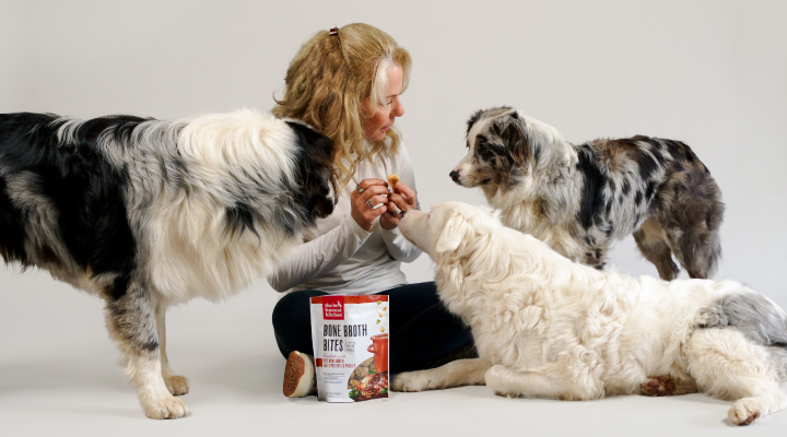 Partner With Us | The Honest Kitchen