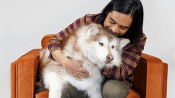 Partner With Us | The Honest Kitchen