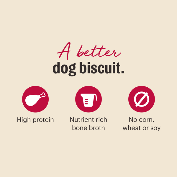 Beef Bone Broth Bites with Sweet Potato – The Honest Kitchen